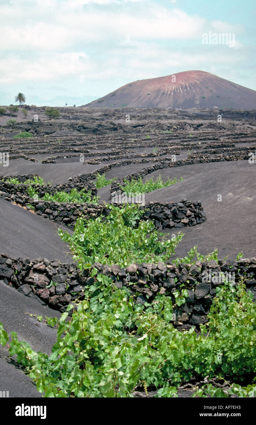 Arid ash fields hi-res stock photography and images - Alamy