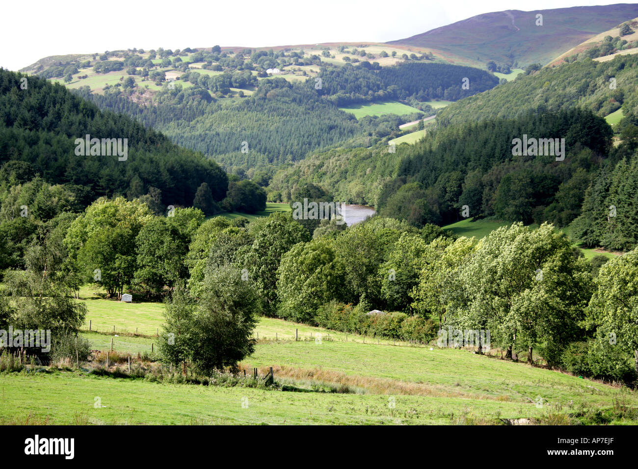 Dee Valley, Llangollen, North Wales, UK Stock Photo - Alamy