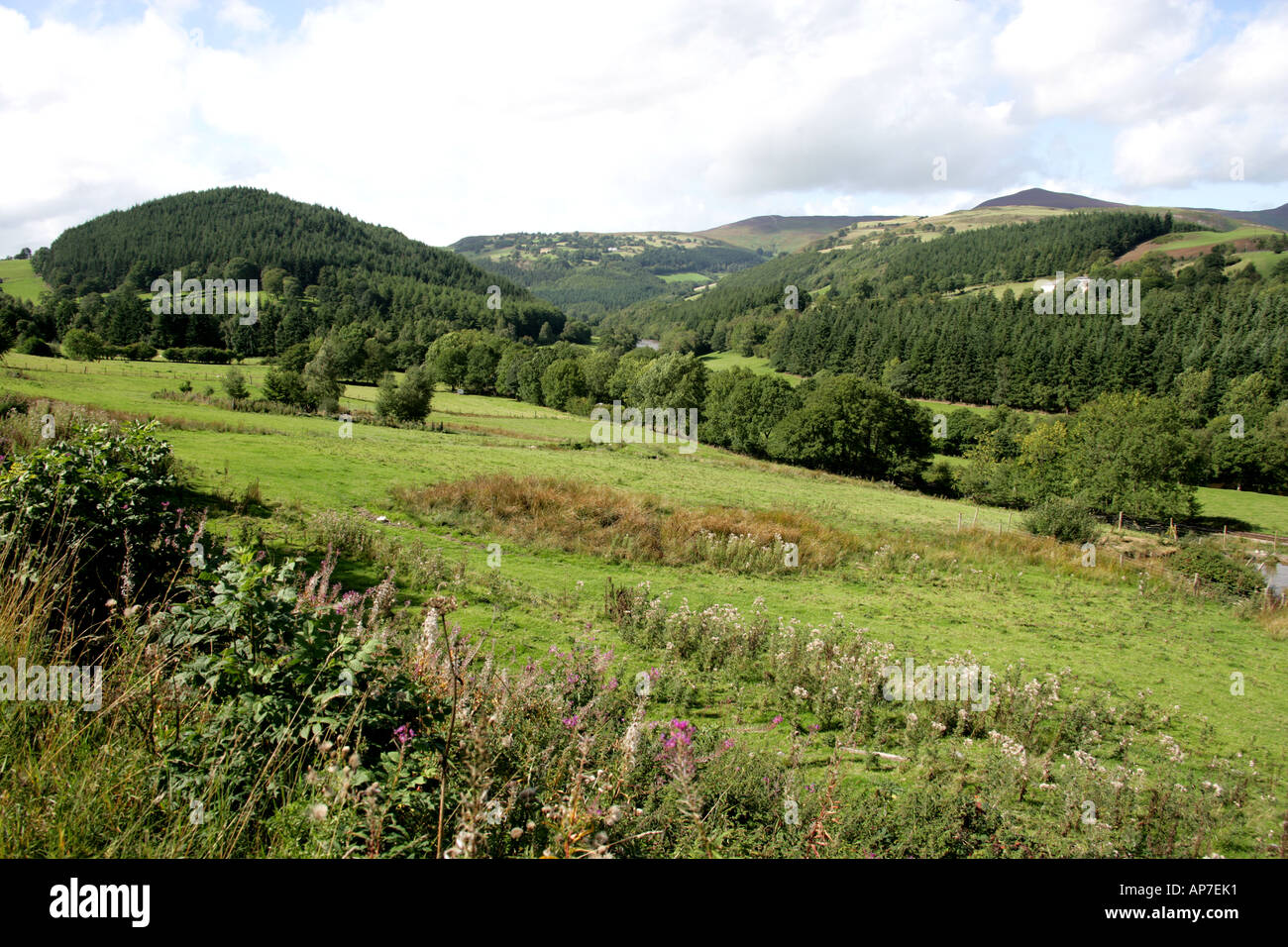 Dee Valley, Llangollen, North Wales, UK Stock Photo - Alamy