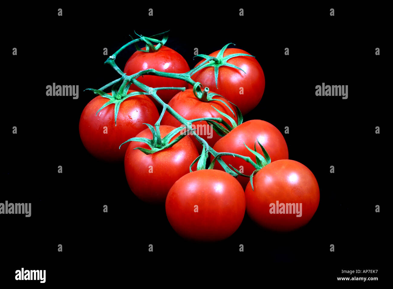 Truss of tomatoes Stock Photo - Alamy