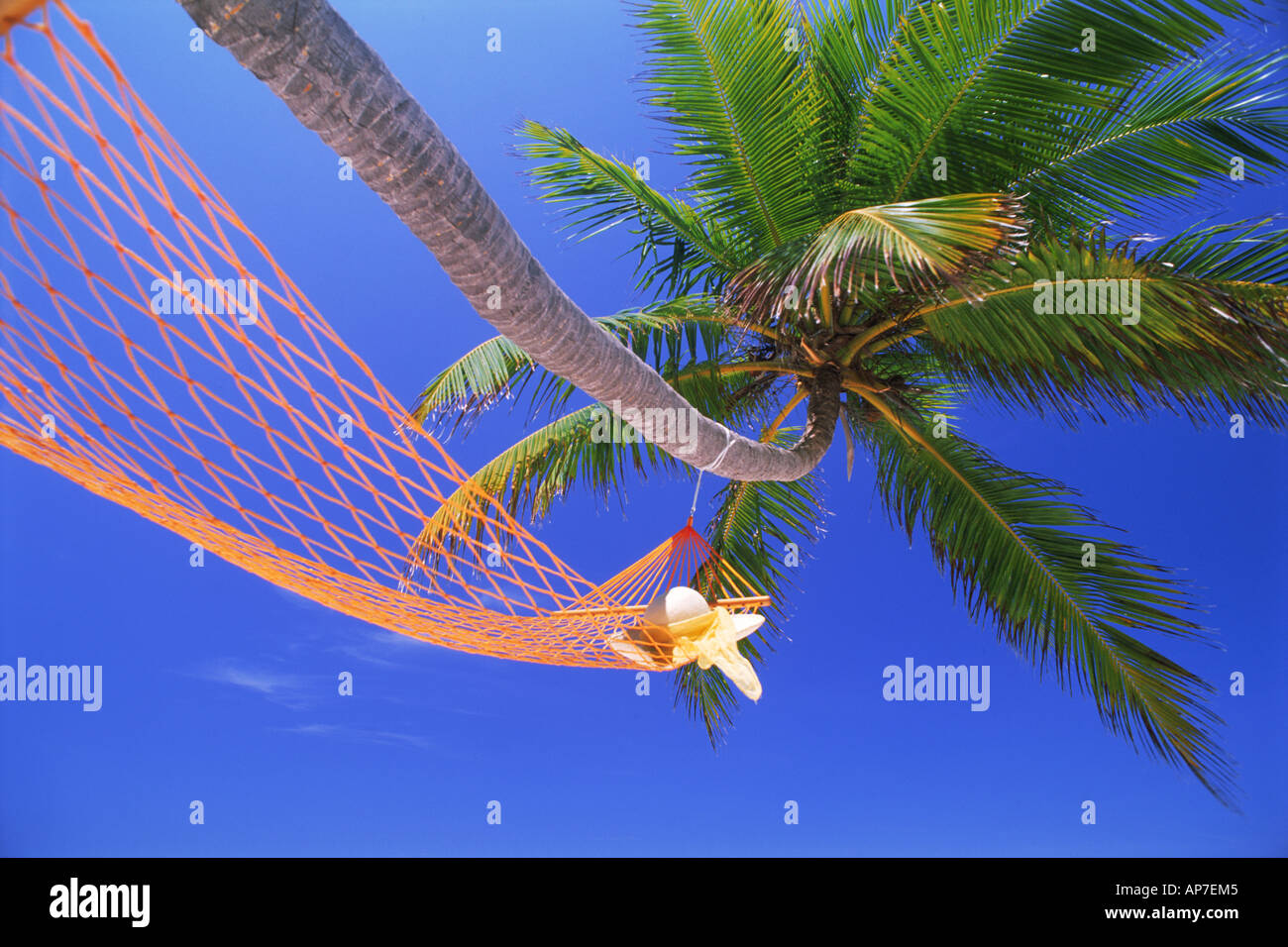Palm tree with hat resting on hammock under clear blue skies as symbols ...