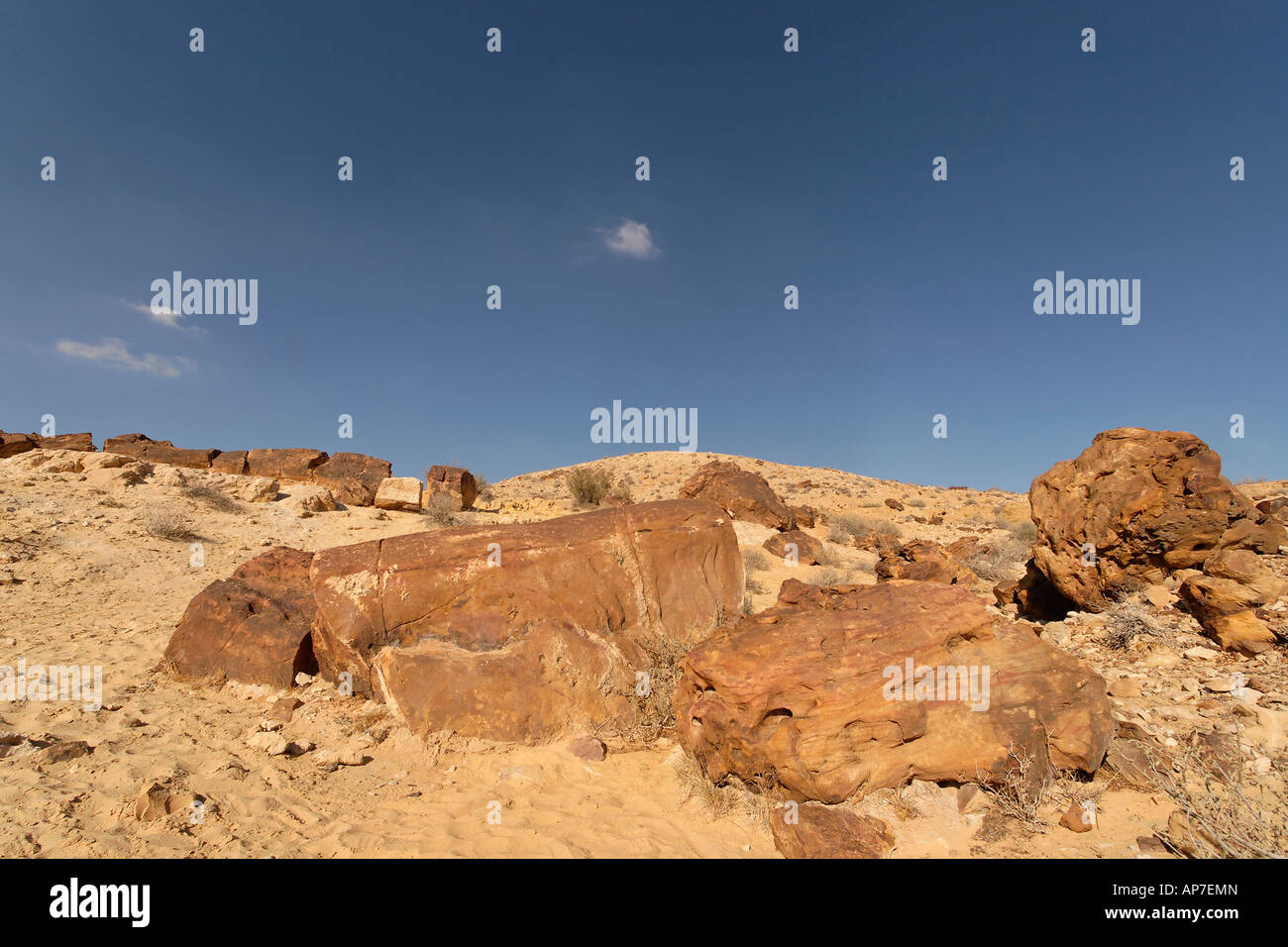 Israel the Negev desert Petrified trees in the Large Crater Stock Photo ...