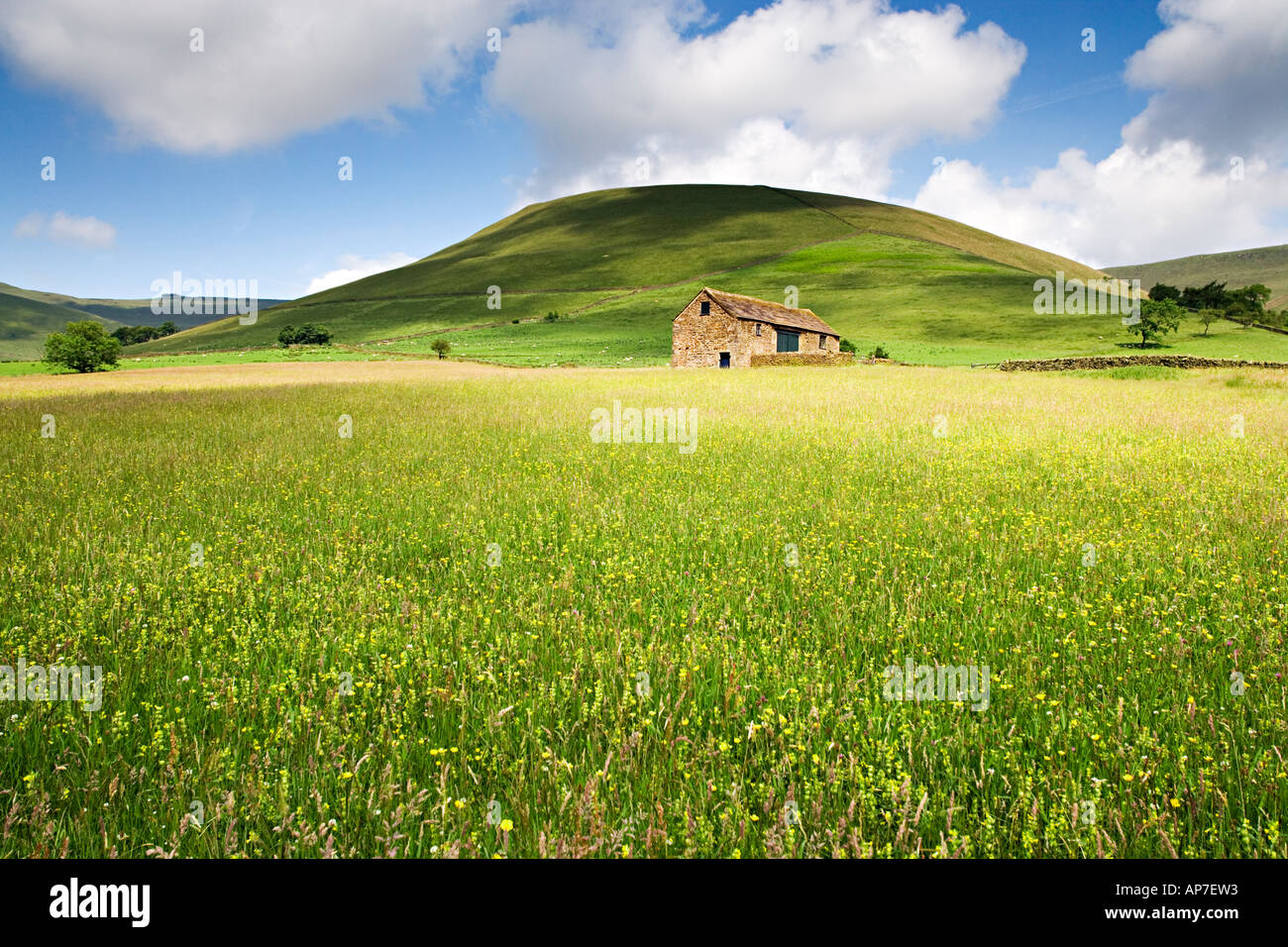 Traditional "Stone Barn" In A "Wild Flower" Meadow At Springtime Near ...