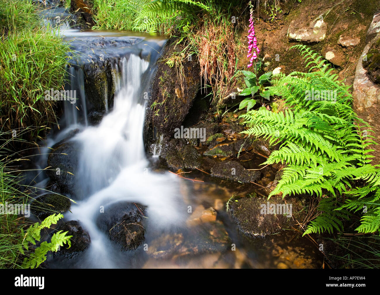 Small Waterfall Downstream From Swimmer Gill Force Near The River Swale ...