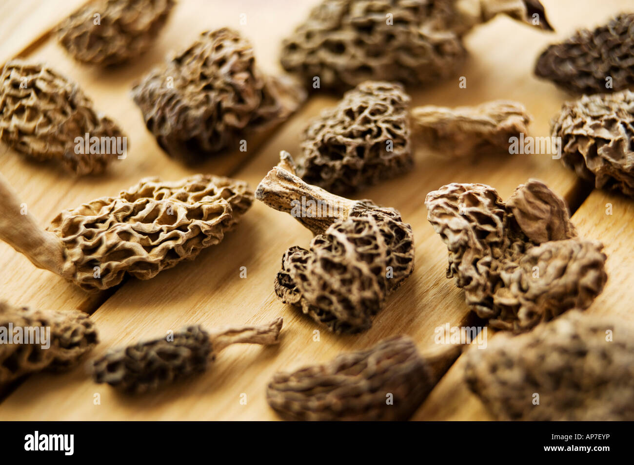 Morille hi-res stock photography and images - Alamy