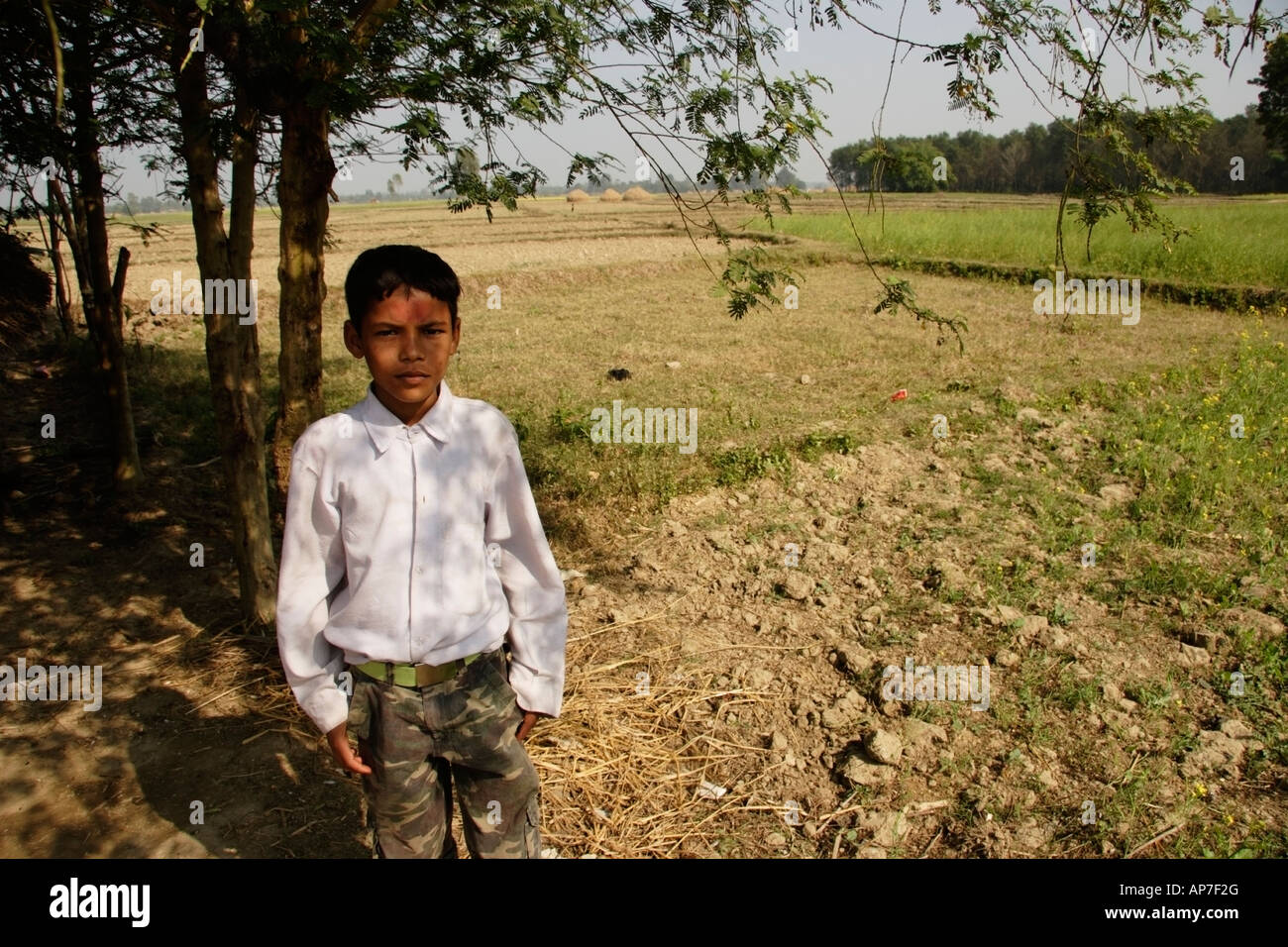 Boy tree shade hi-res stock photography and images - Alamy