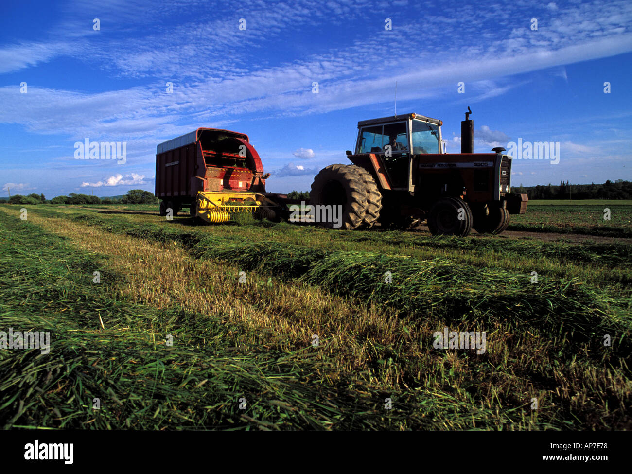 Sunset silage harvesting hi-res stock photography and images - Alamy
