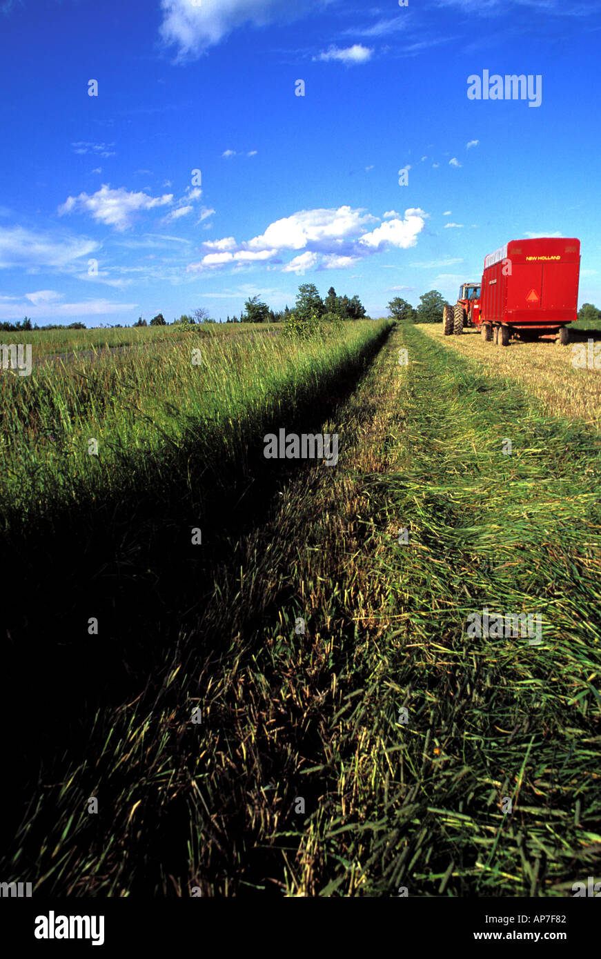 Sunset silage harvesting hi-res stock photography and images - Alamy