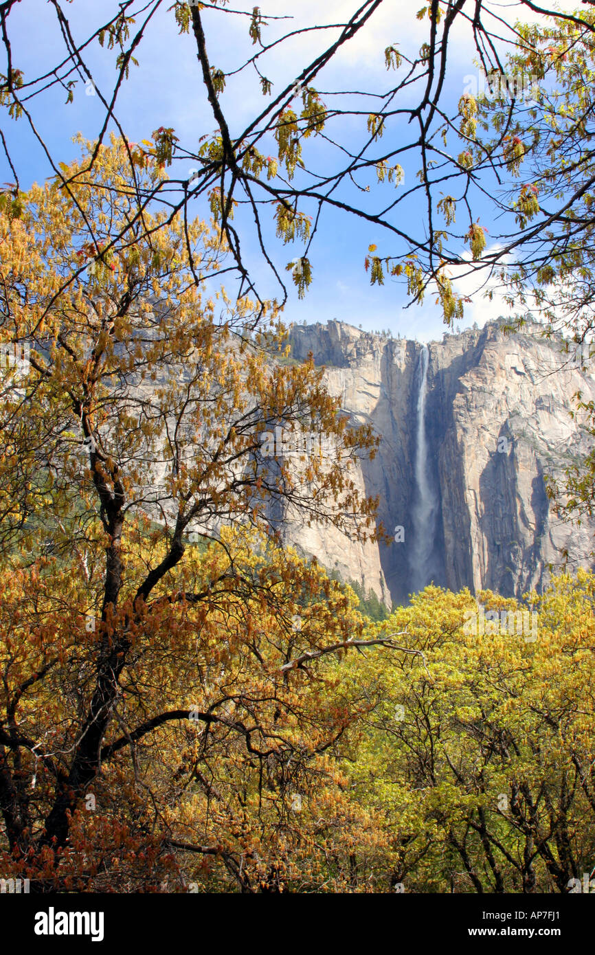 ribbon falls, yosemite national park Stock Photo - Alamy