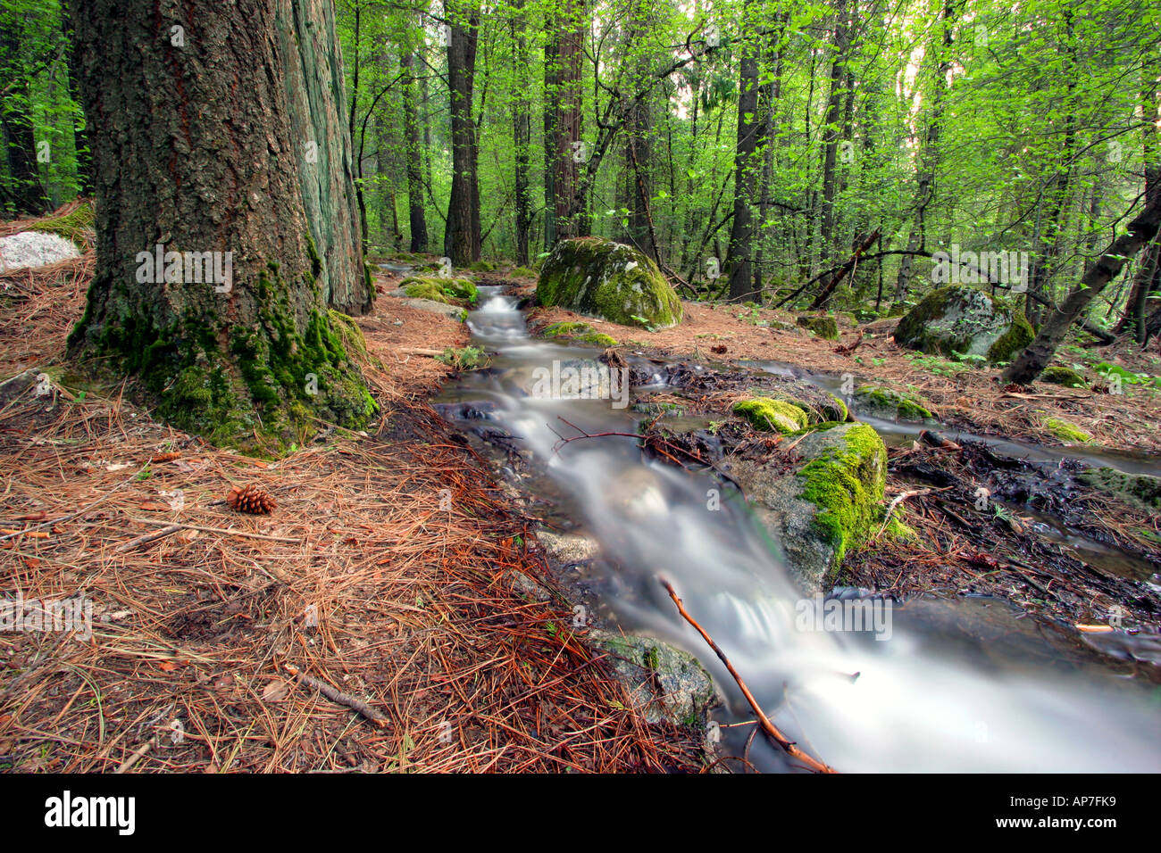 Spring runoff hi-res stock photography and images - Alamy