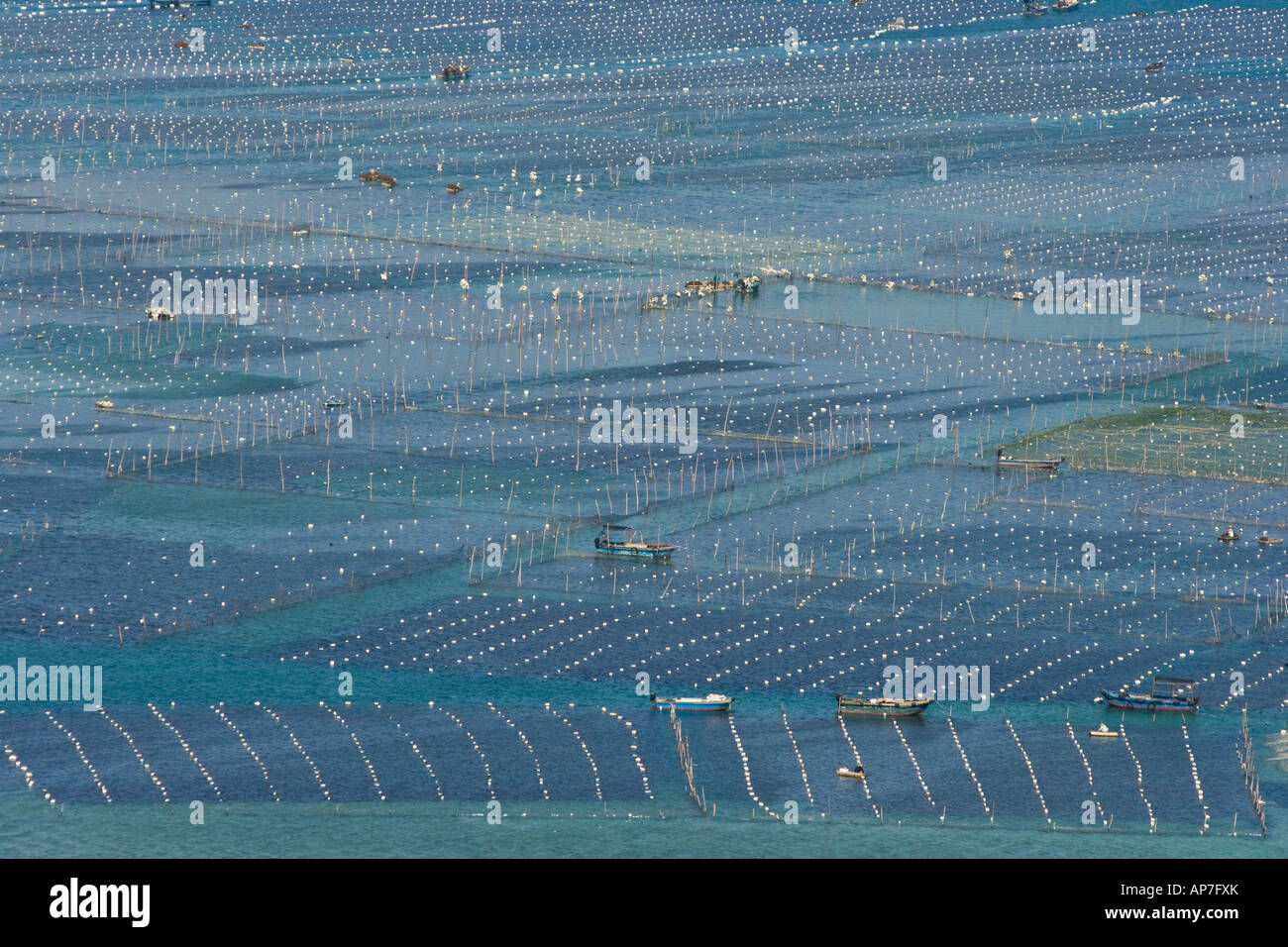 Fish Farming in Lingshui China Stock Photo - Alamy