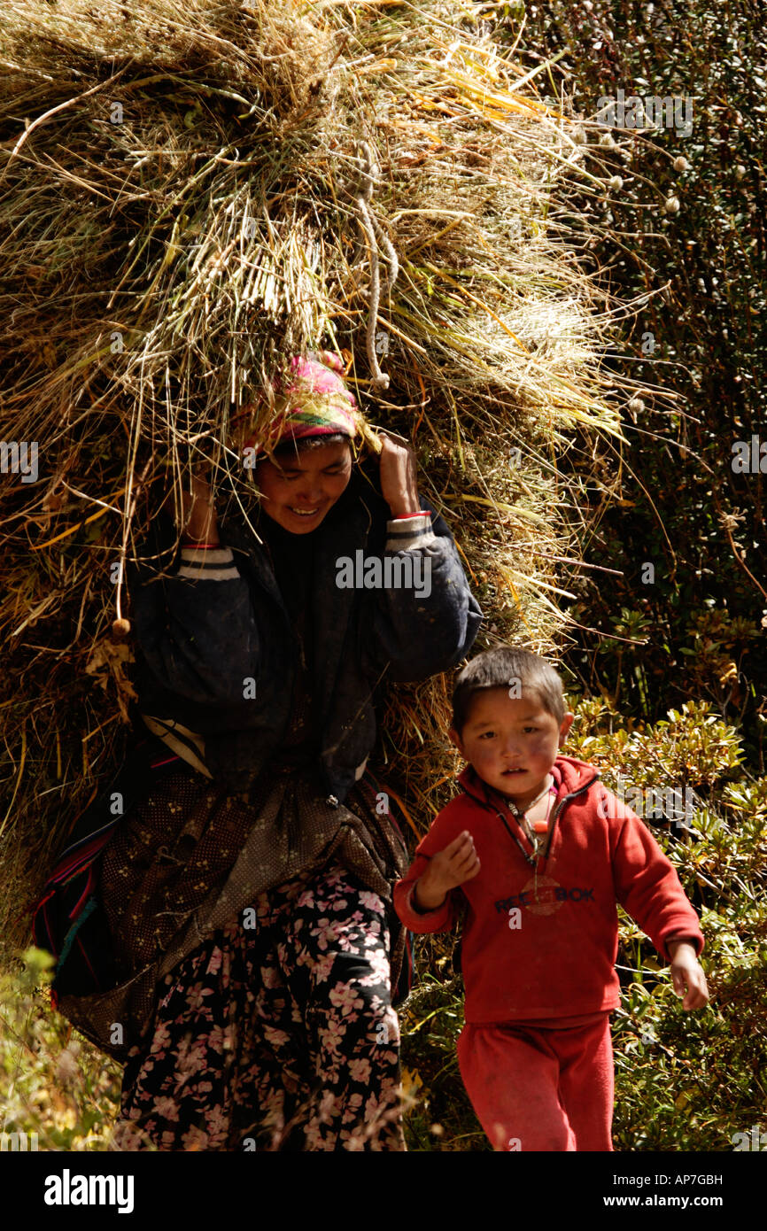 Woman carrying hay Stock Photo - Alamy