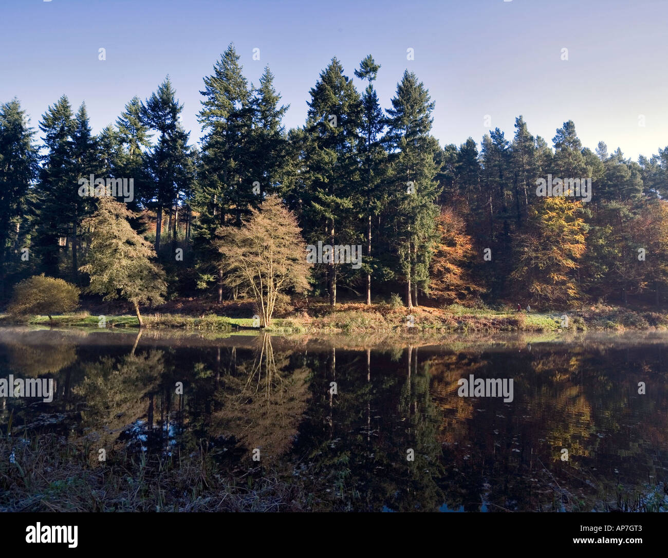 SOUDLEY PONDS NR CINDERFORD AUTUMN ROYAL FOREST OF DEAN GLOUCESTERSHIRE ...