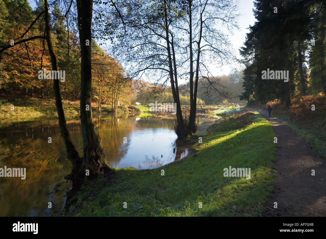 Gloucestershire pond ponds hi-res stock photography and images - Alamy