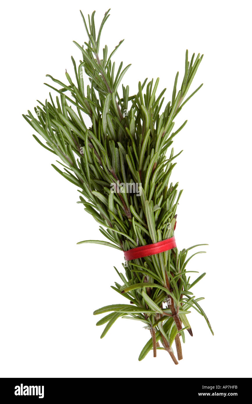 Bunch of fresh rosemary herb Stock Photo - Alamy