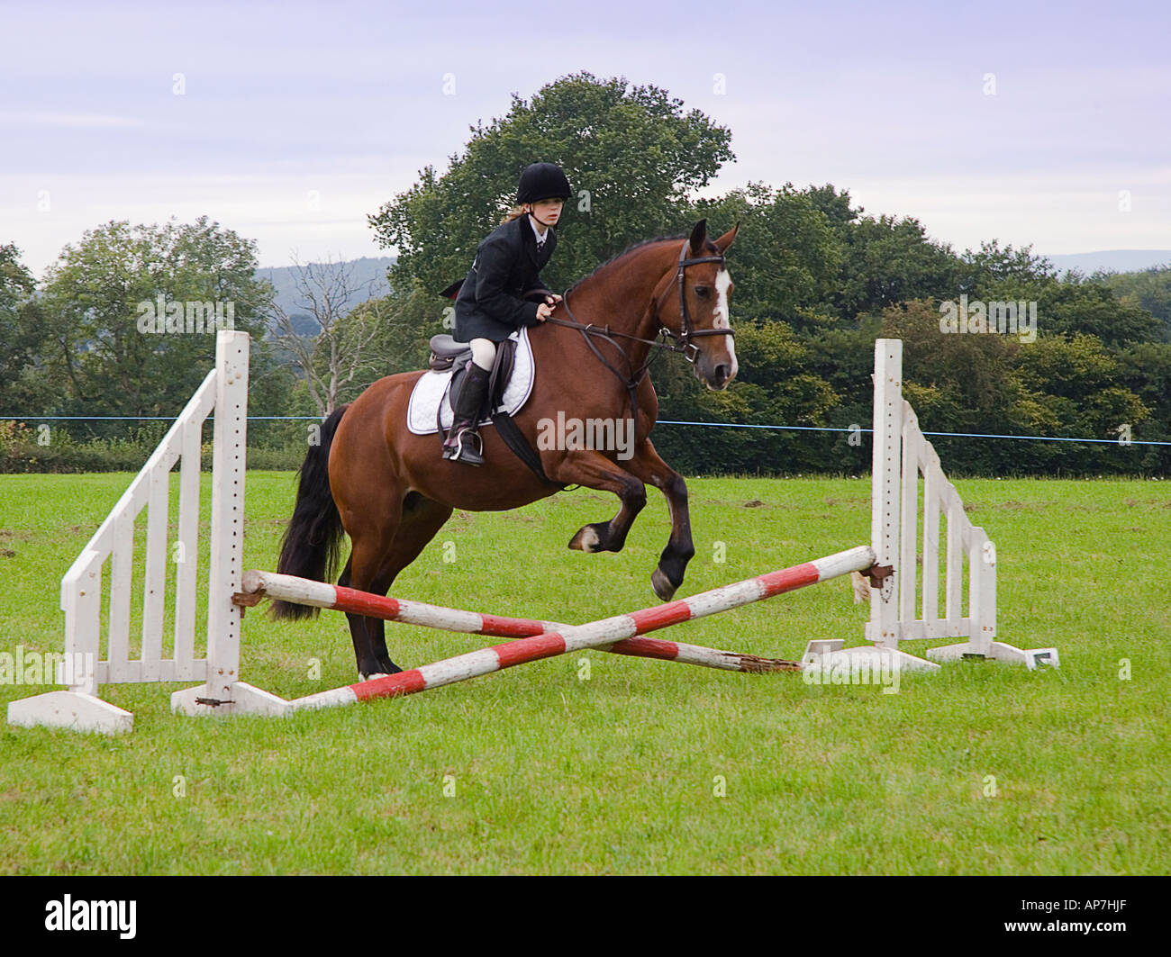 Pony Jumping High Resolution Stock Photography and Images - Alamy