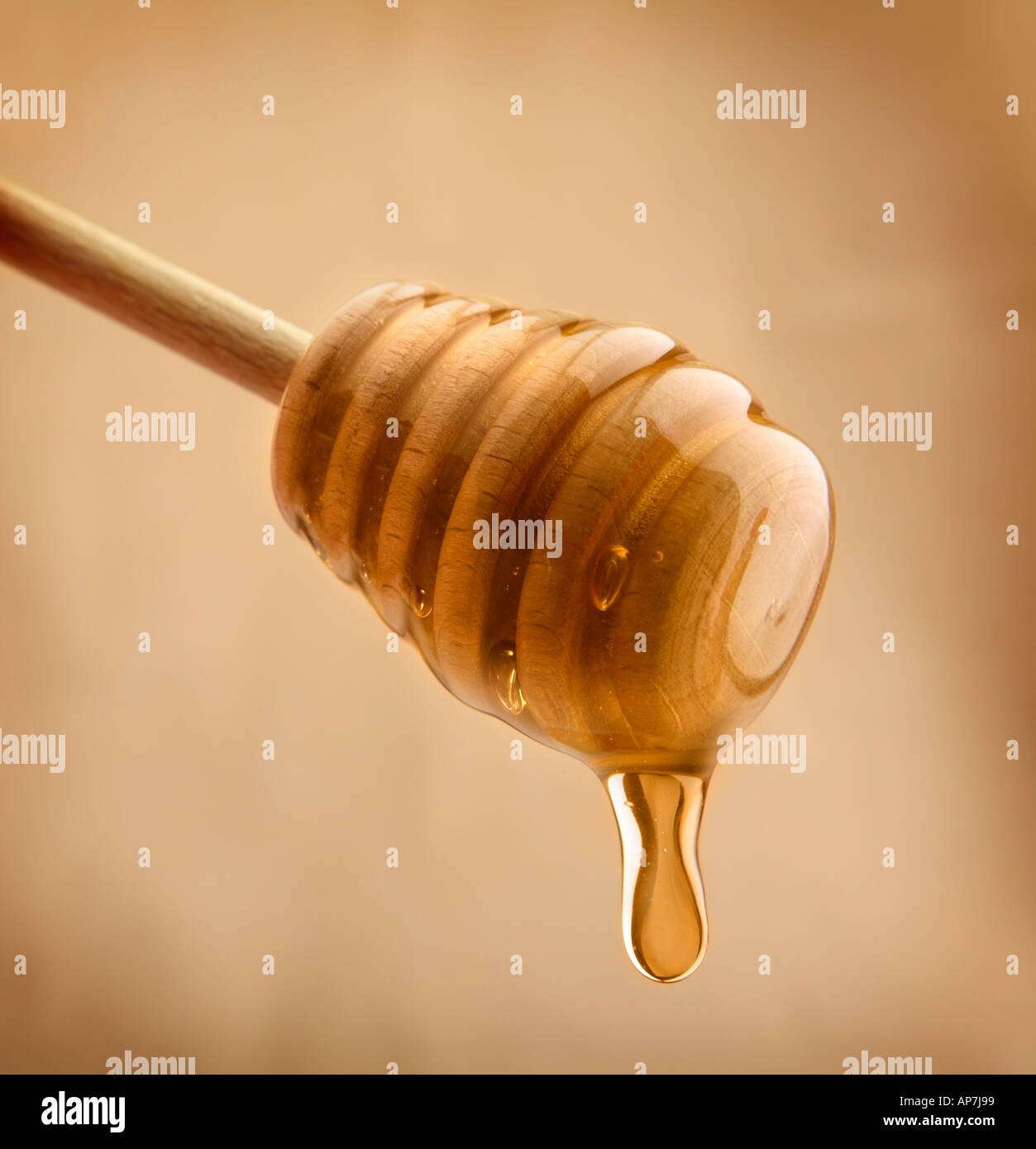 How to get honey hi-res stock photography and images - Alamy