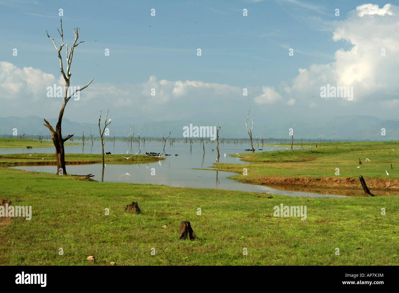 Sri lanka walawe river hi-res stock photography and images - Alamy
