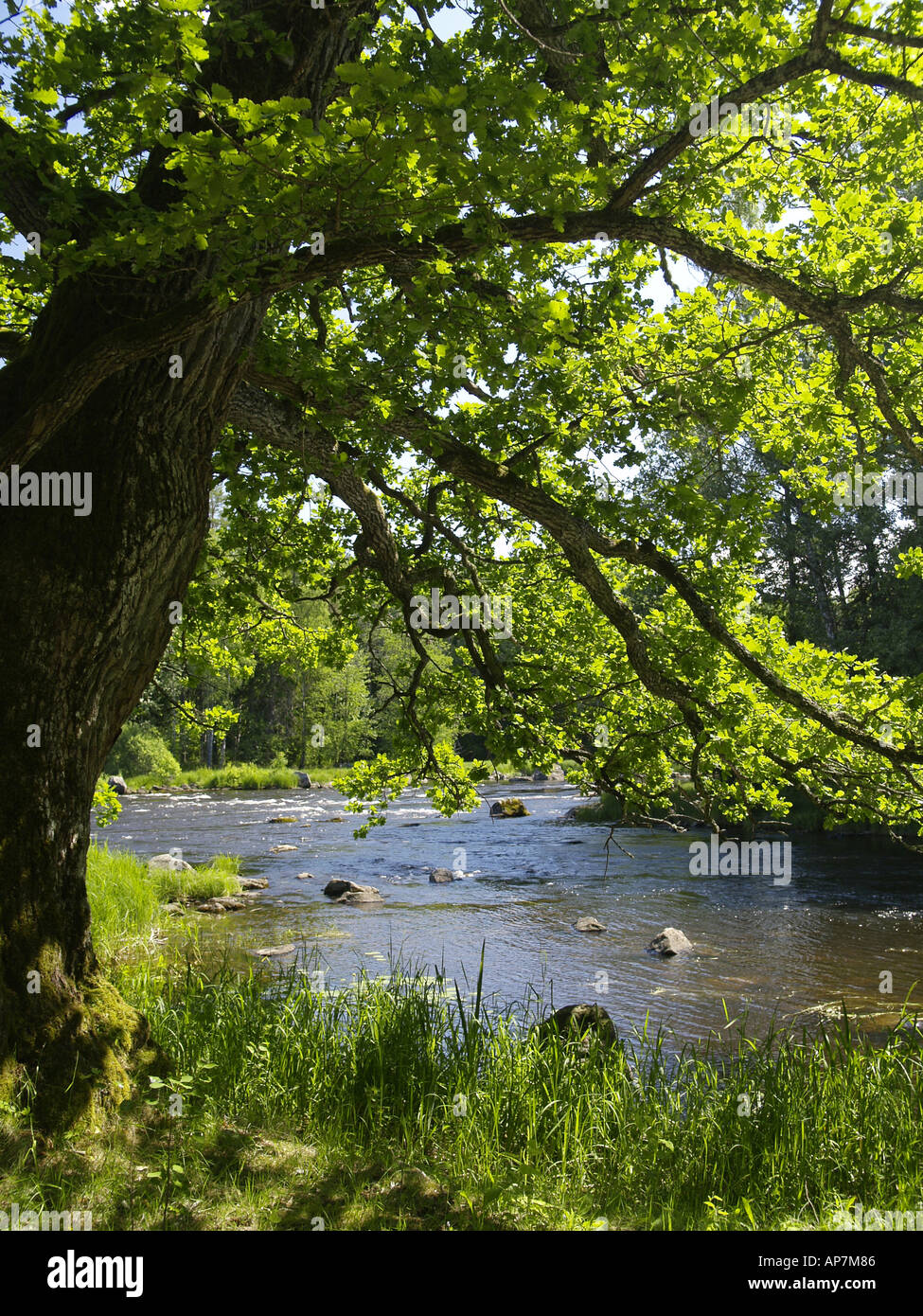 Gysinge hi-res stock photography and images - Alamy