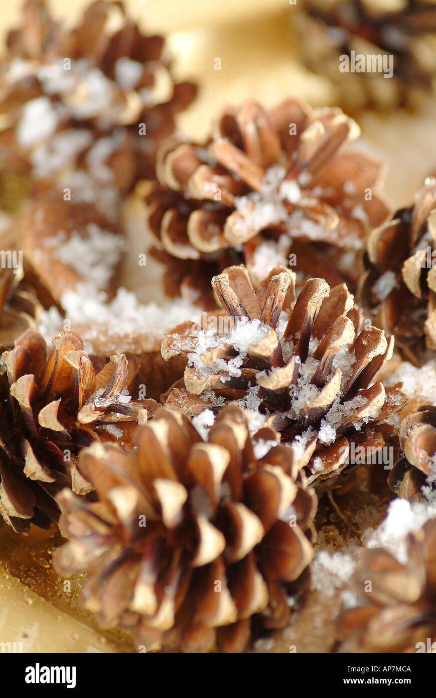 A selection of festively themed objects or decorations Stock Photo - Alamy