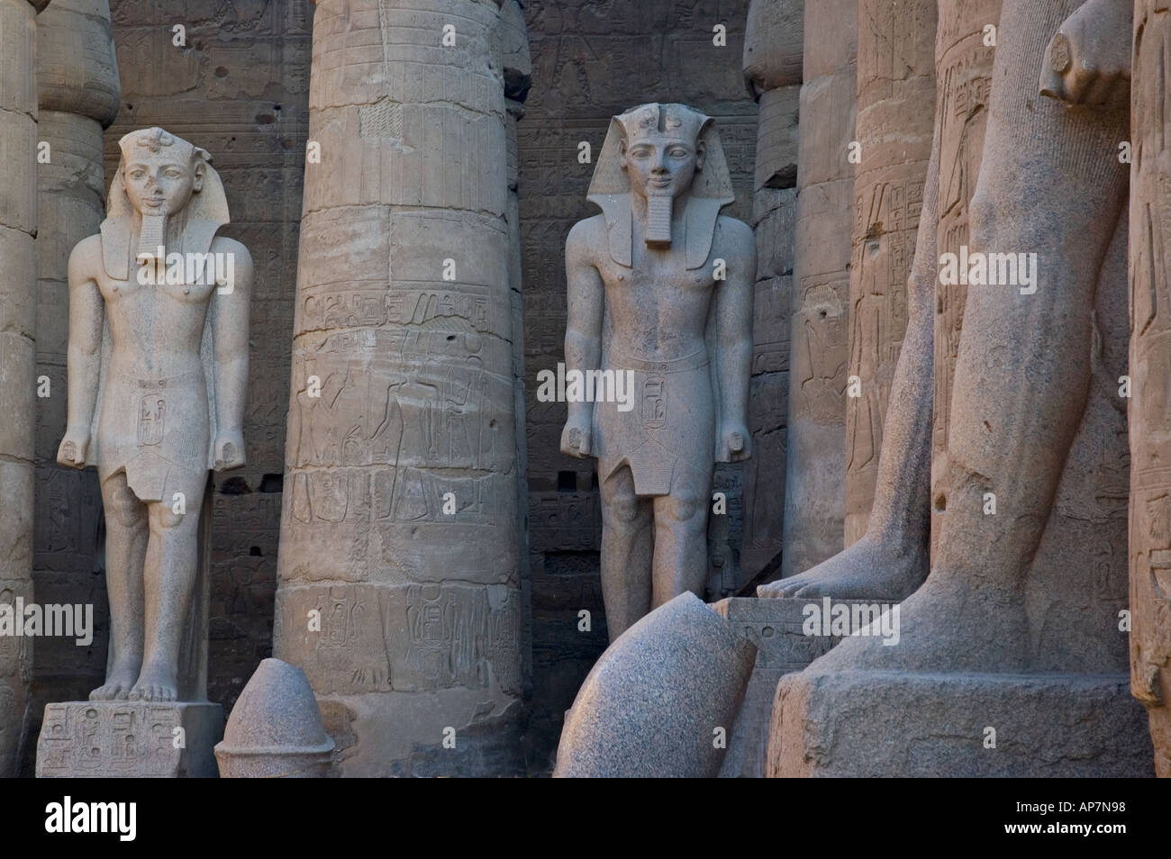 Ramses statue, colossus, Luxor Temple, Thebes, Upper Egypt, Middle East ...