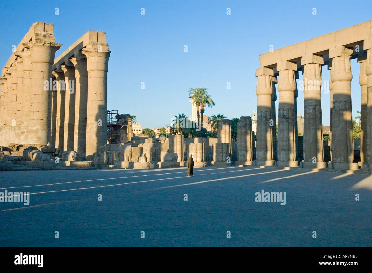 Fluted lotus columns, Luxor Temple, Thebes, Upper Egypt, Middle East ...