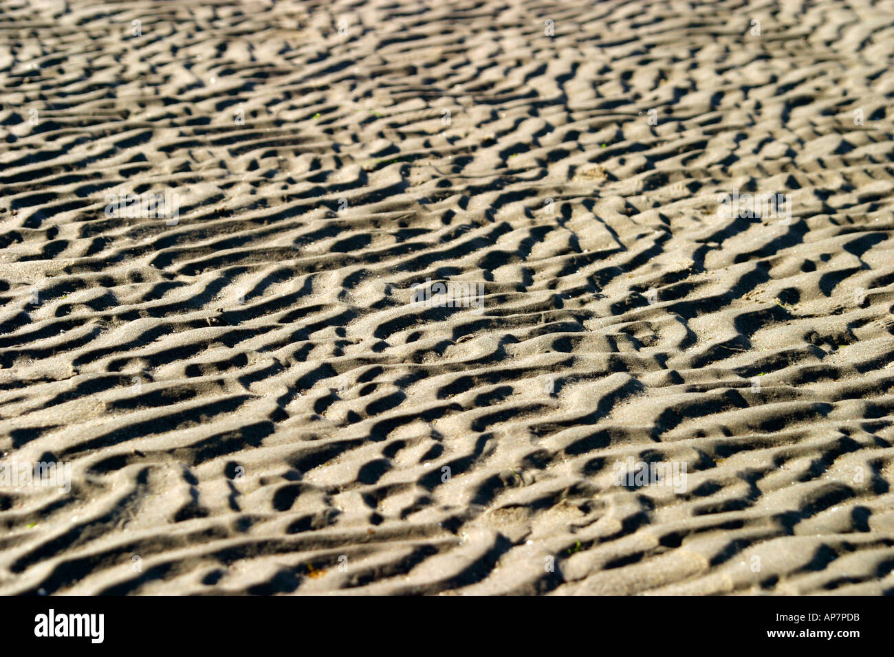 Bumps In The Sand High Resolution Stock Photography and Images - Alamy