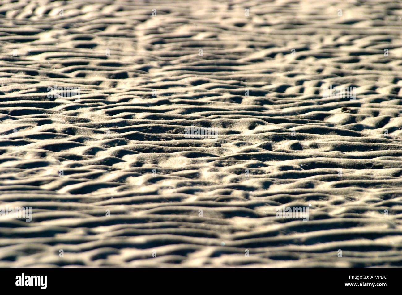 Ripples in sand on beach Stock Photo - Alamy