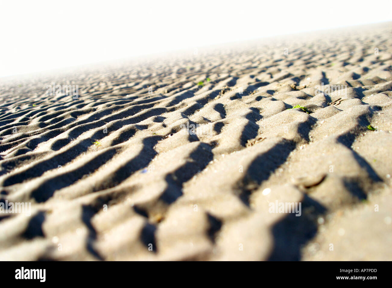 Ripples in sand on beach Stock Photo - Alamy