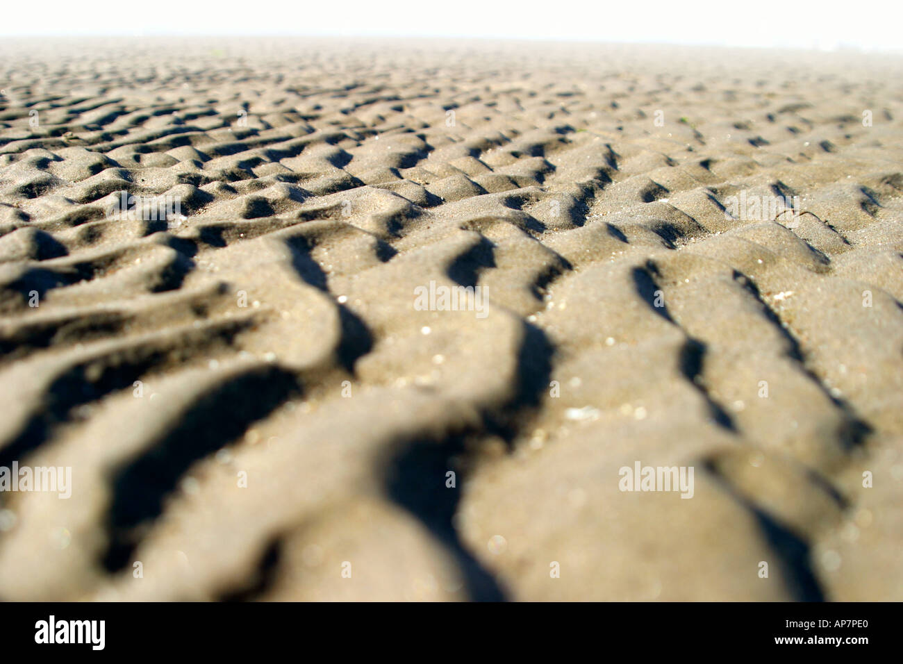Ripples in sand on beach Stock Photo - Alamy