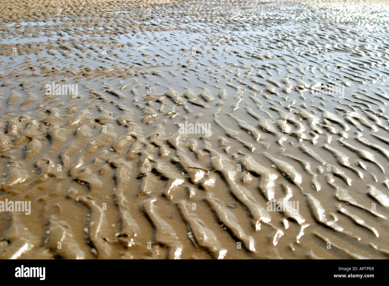 Ripples in sand on beach Stock Photo - Alamy