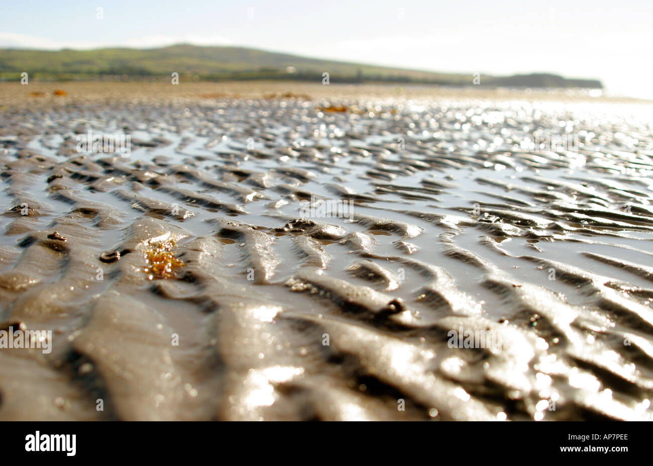 Ripples in sand on beach Stock Photo - Alamy