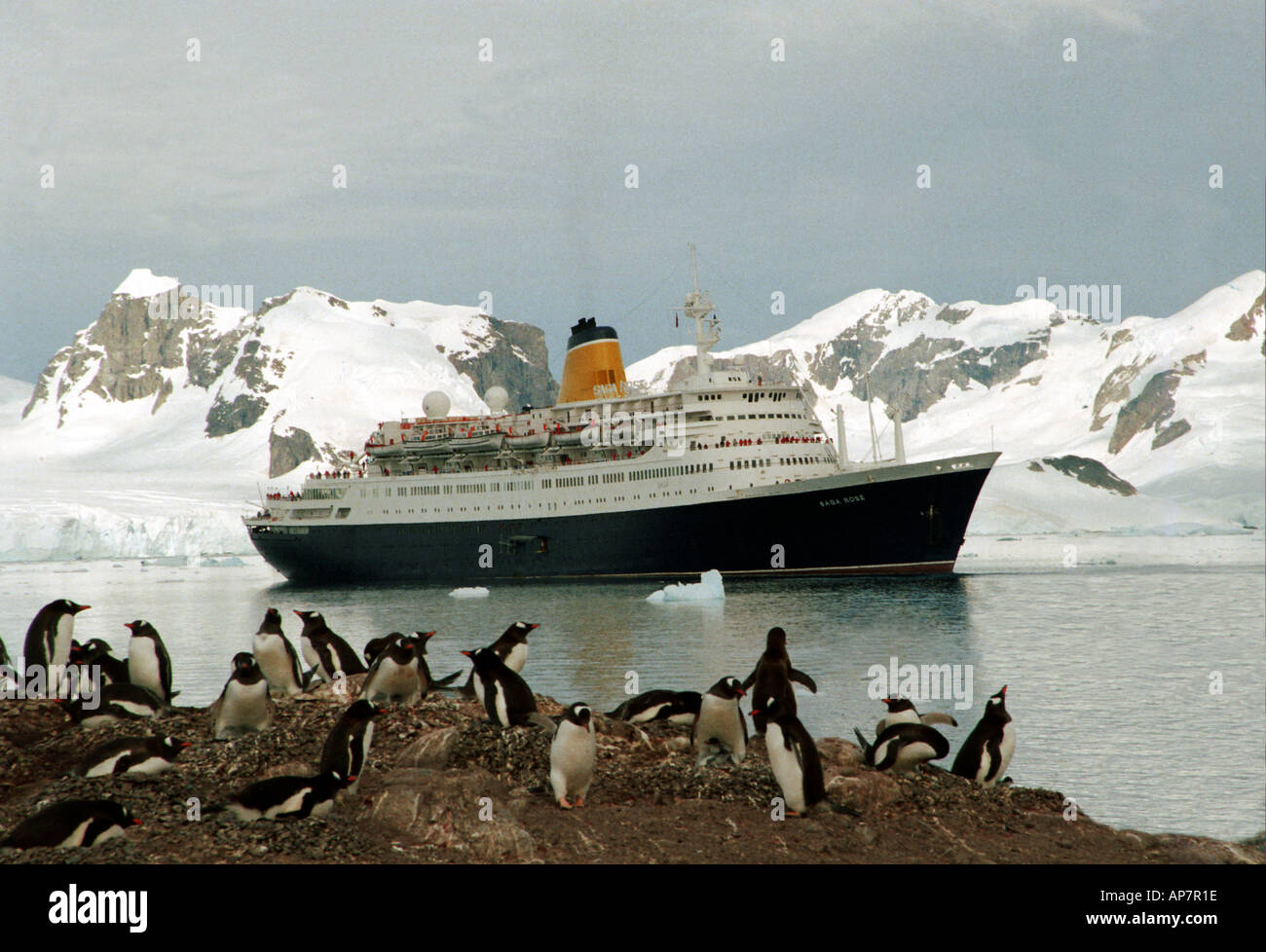 cruise ship and penguins in antarctica Stock Photo - Alamy