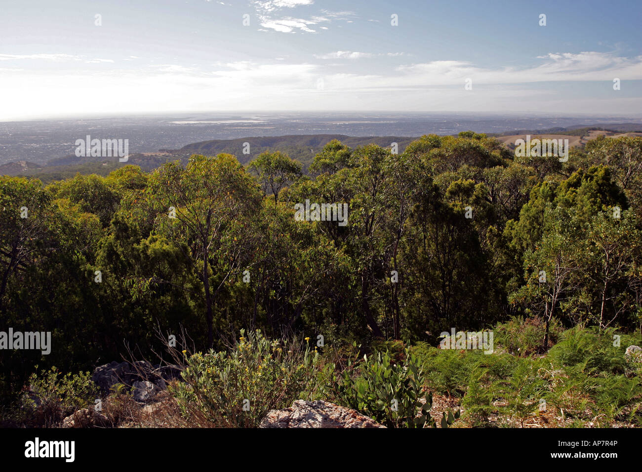 Landscape view, Adelaide, South Australia, Australia Stock Photo - Alamy