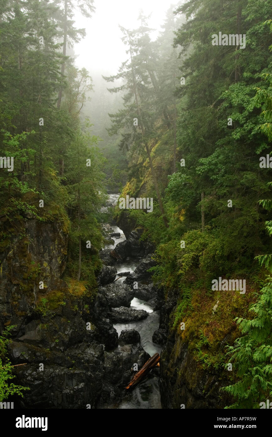 Englishman River Falls Provincial Park, Vancouver Island, British ...