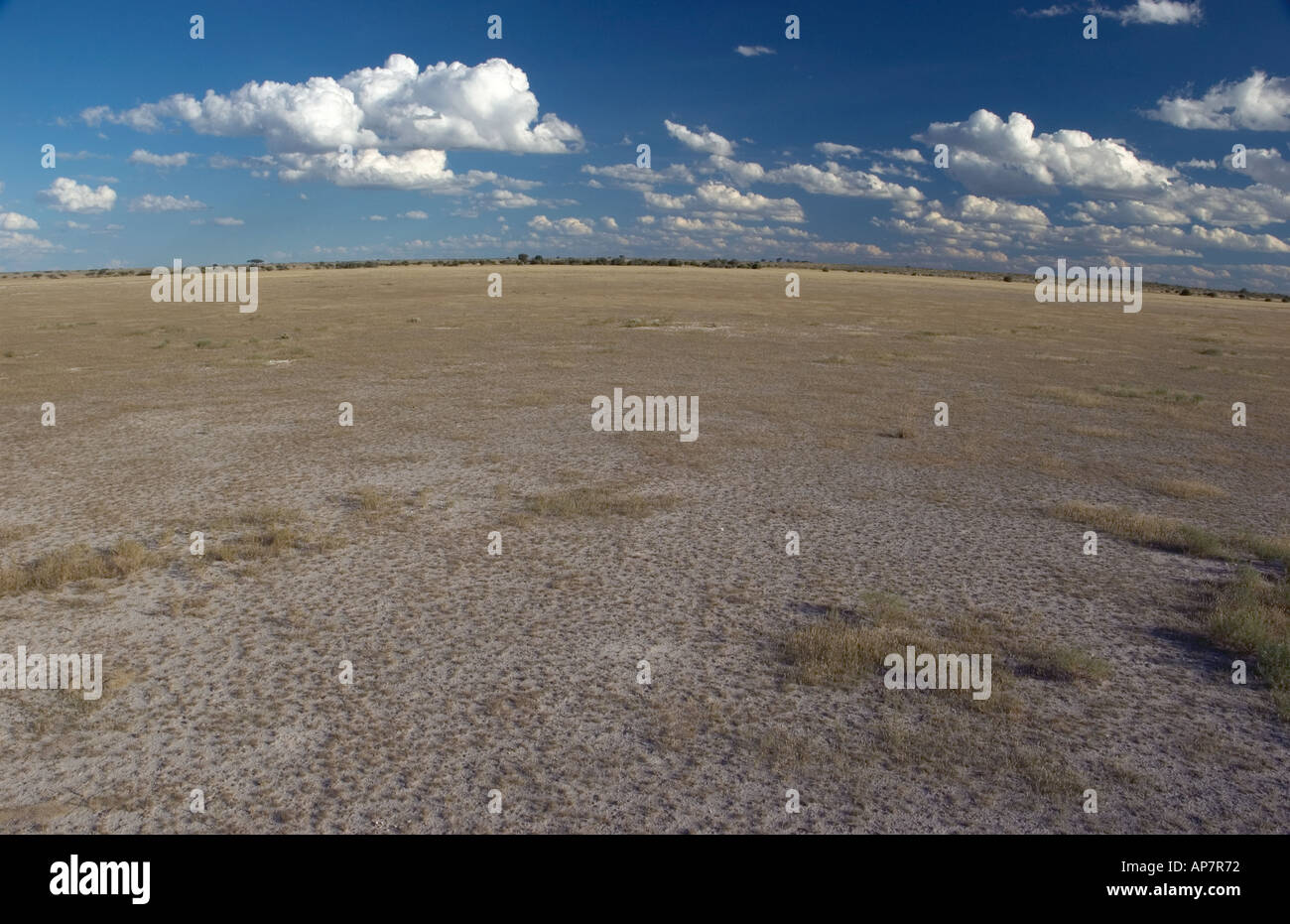 The immensity of Deception pan in the Central Kalahari Stock Photo - Alamy