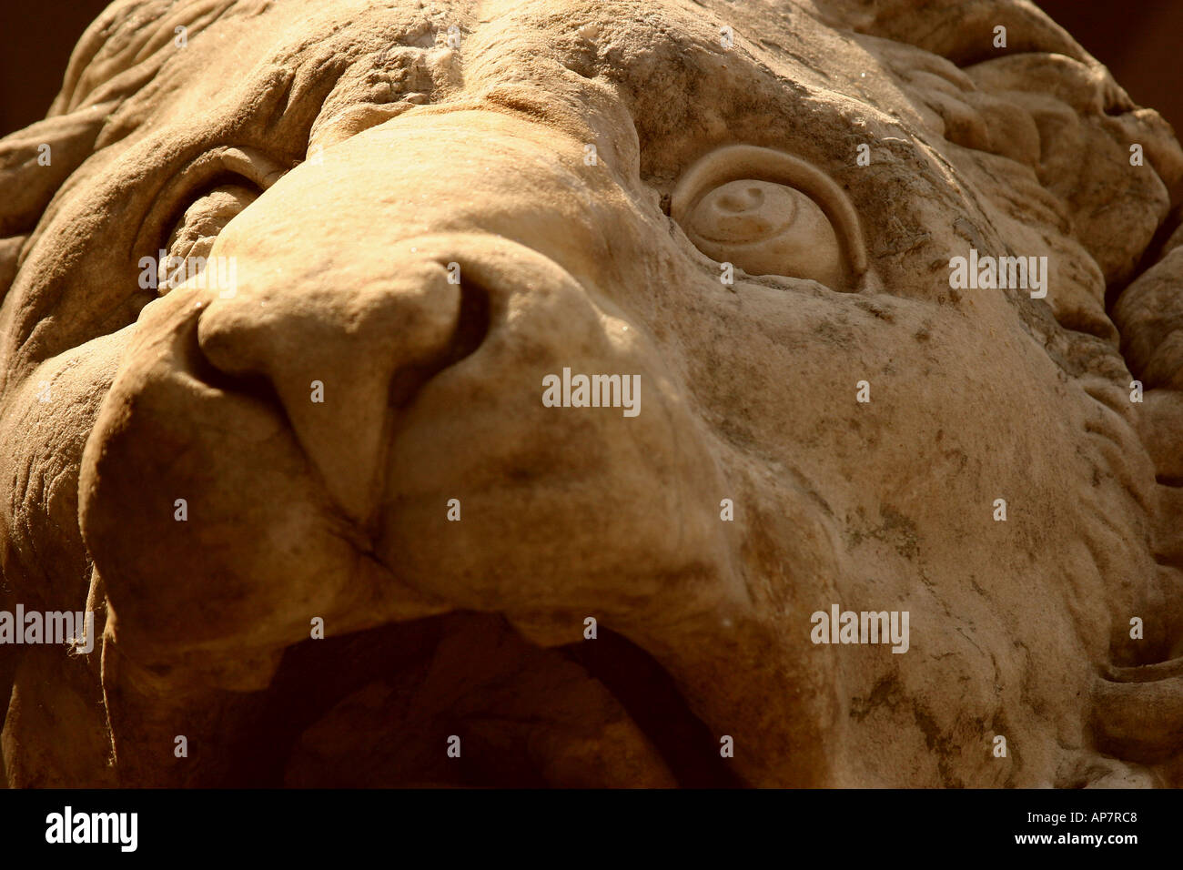 roman statue italy florence lion Stock Photo - Alamy