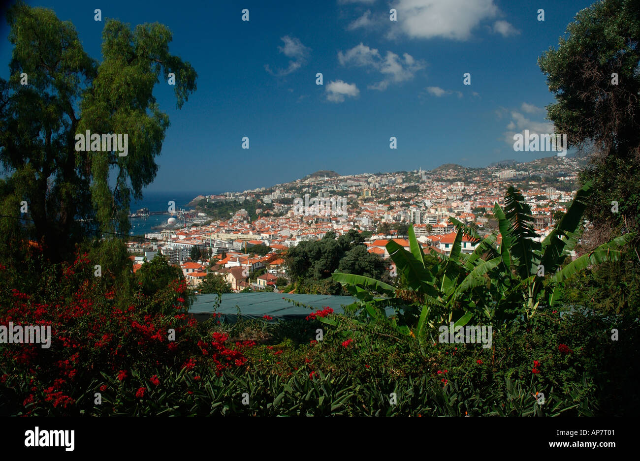 Madeira Funchal Hillside Town Houses High Resolution Stock Photography ...