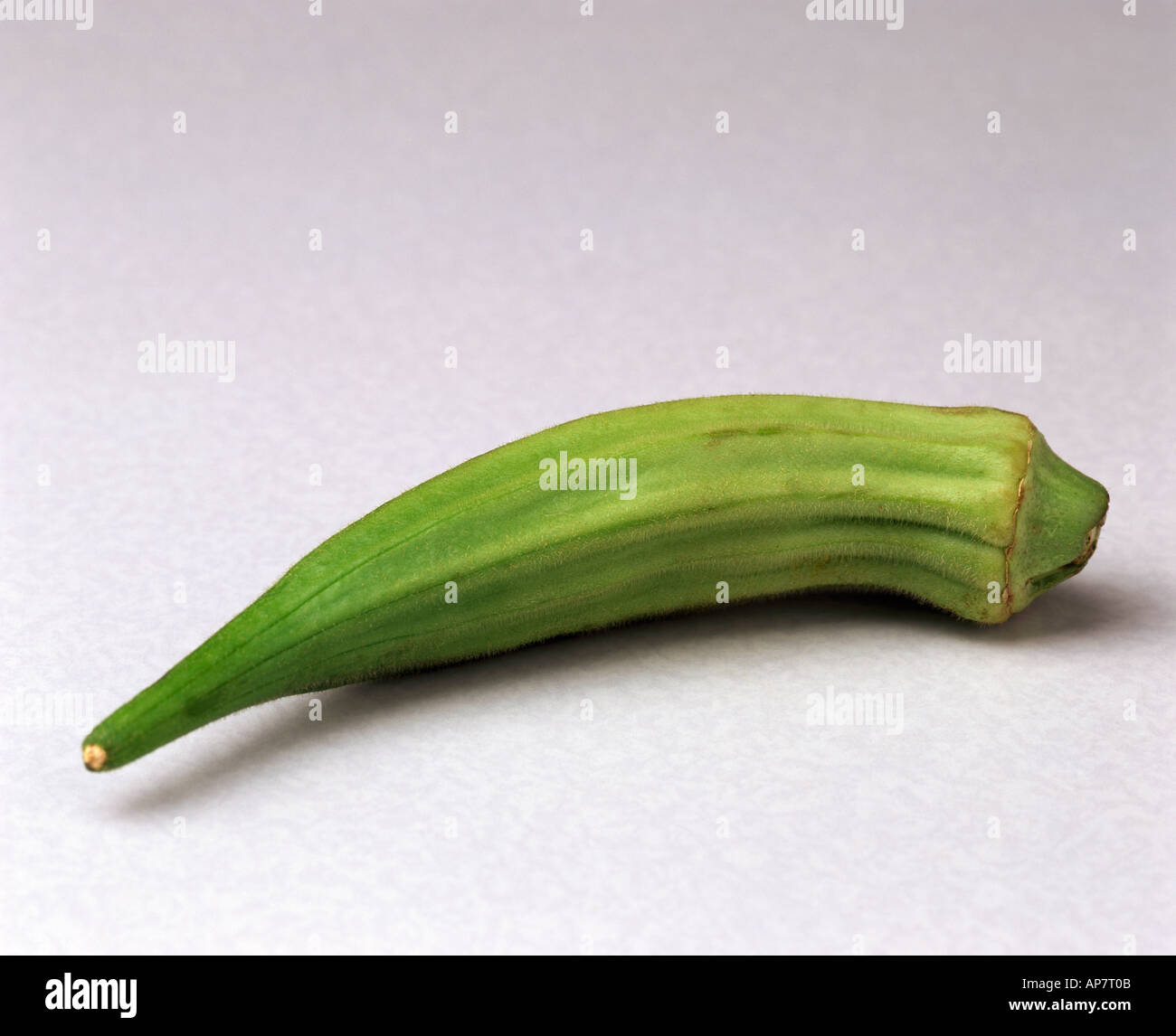 Ladys fingers lady finger hi-res stock photography and images - Alamy