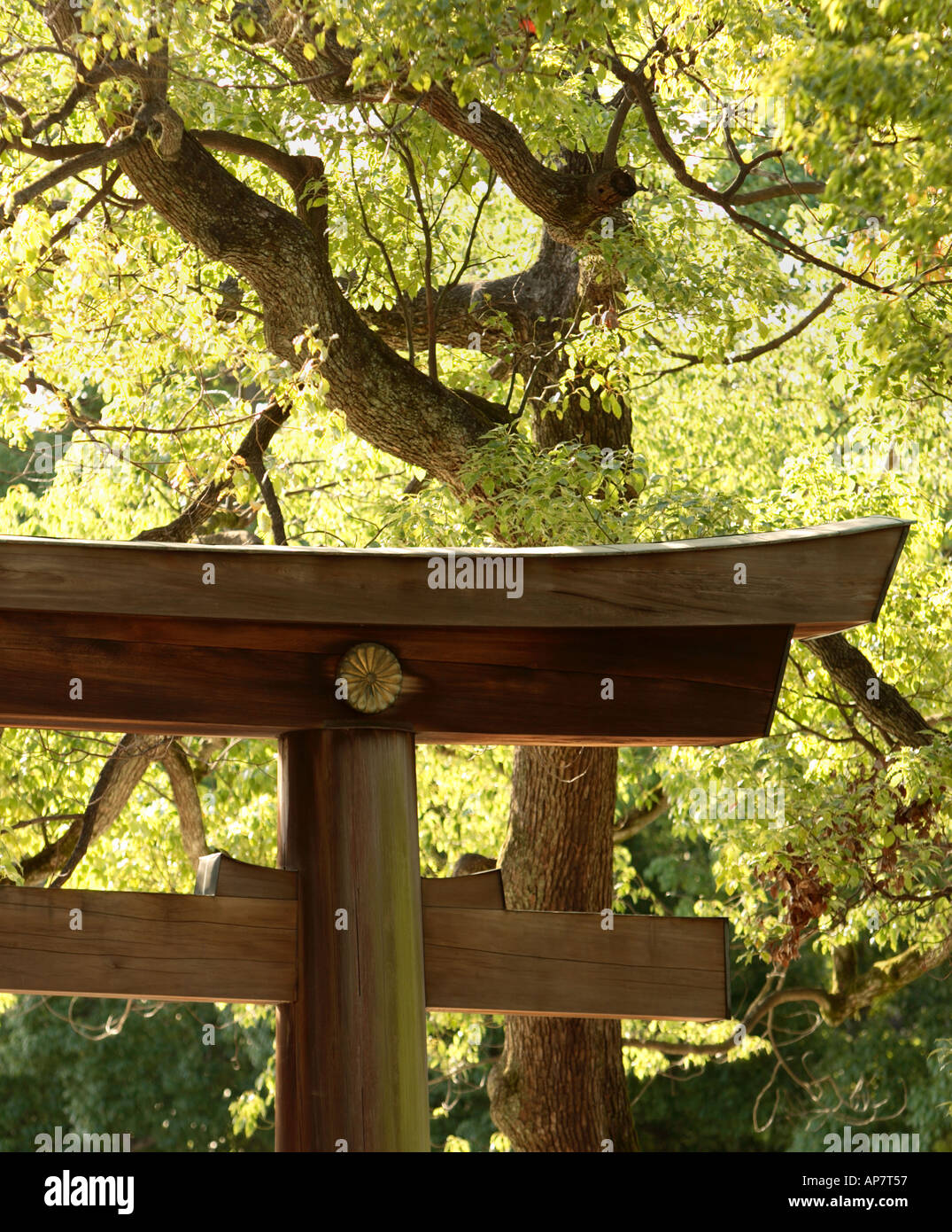 Tokyo temple details green trees Stock Photo - Alamy