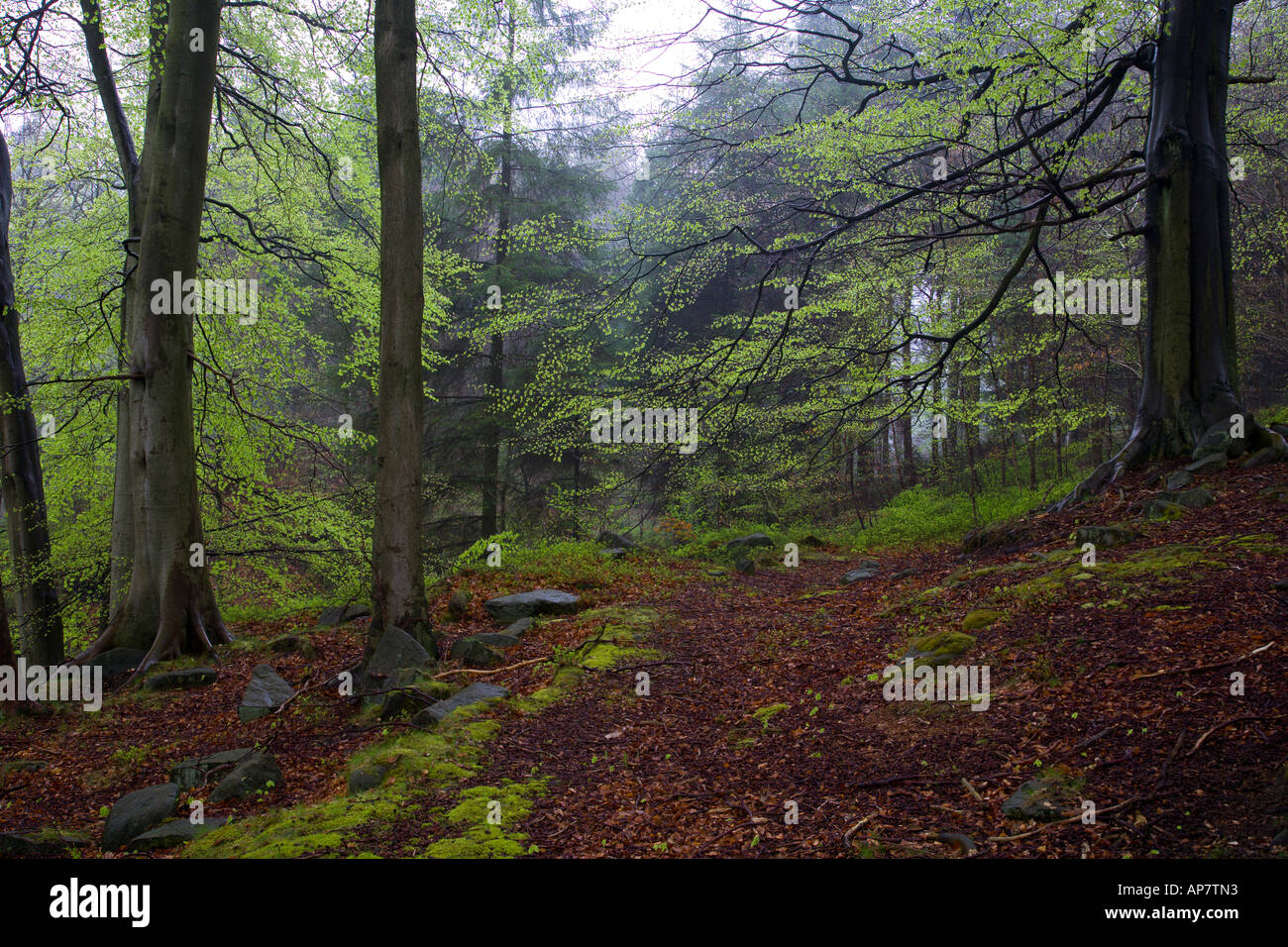 The strines hi-res stock photography and images - Alamy