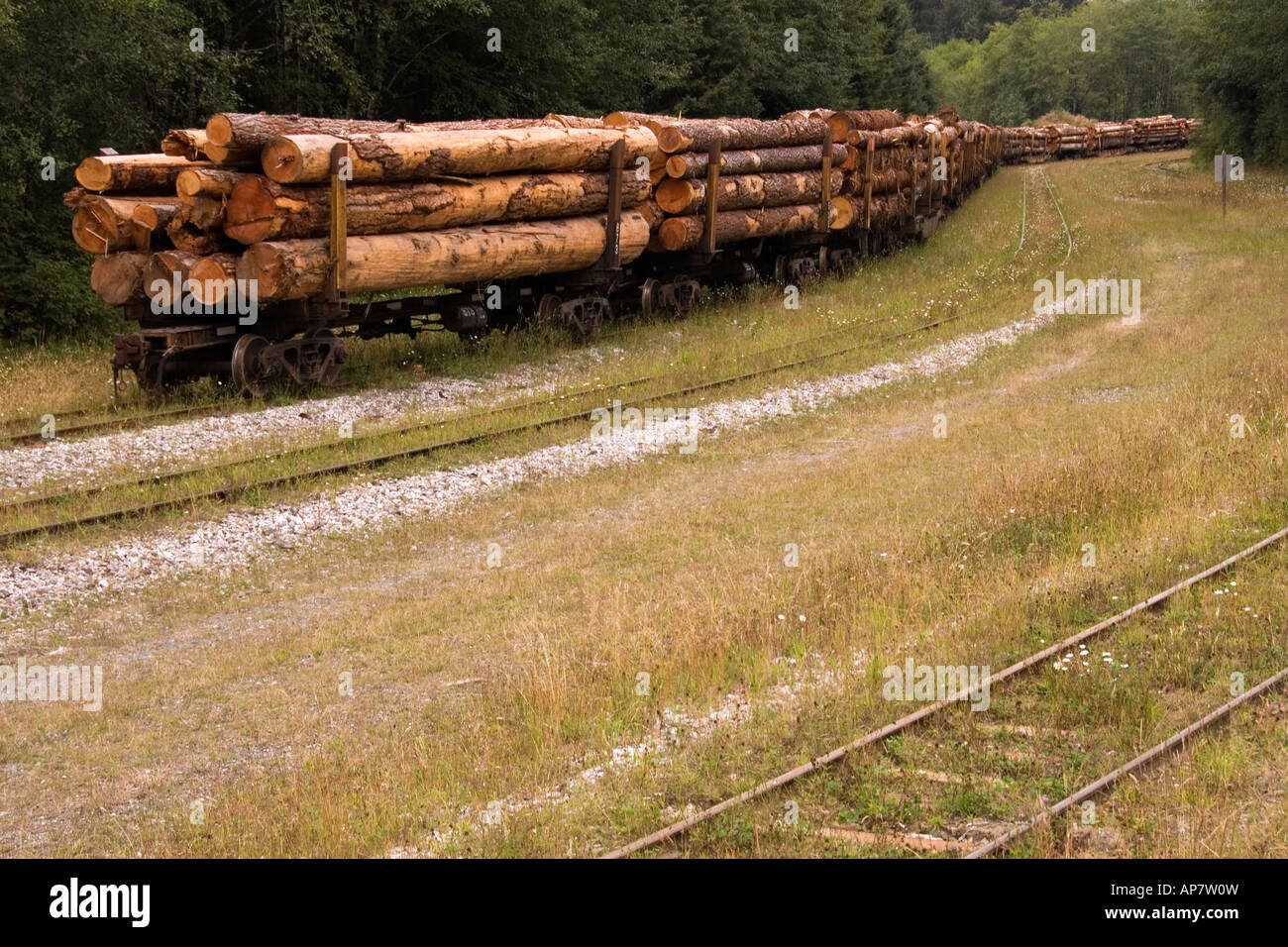 Log train hi-res stock photography and images - Alamy