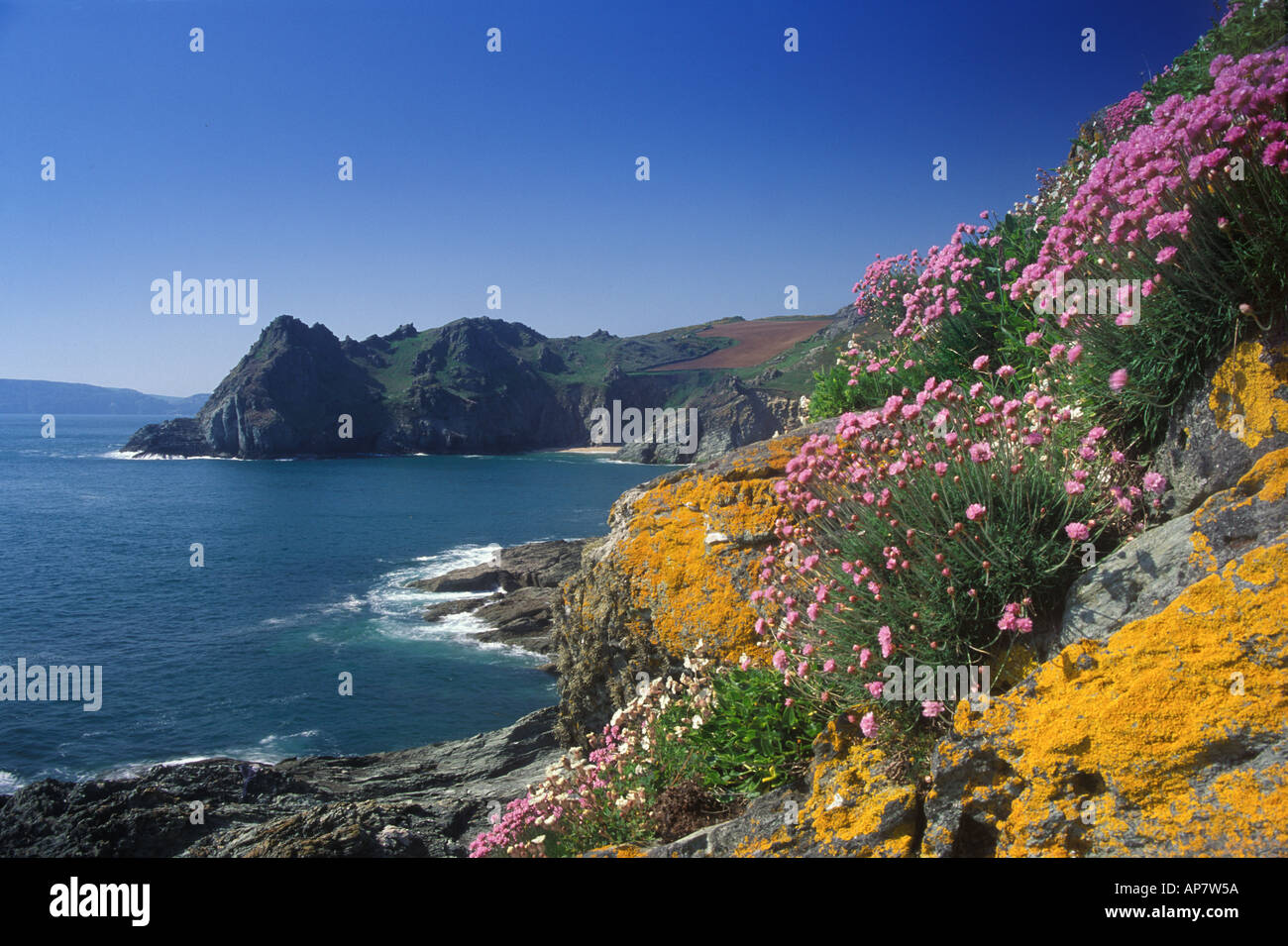 Prawle point devon hi-res stock photography and images - Alamy
