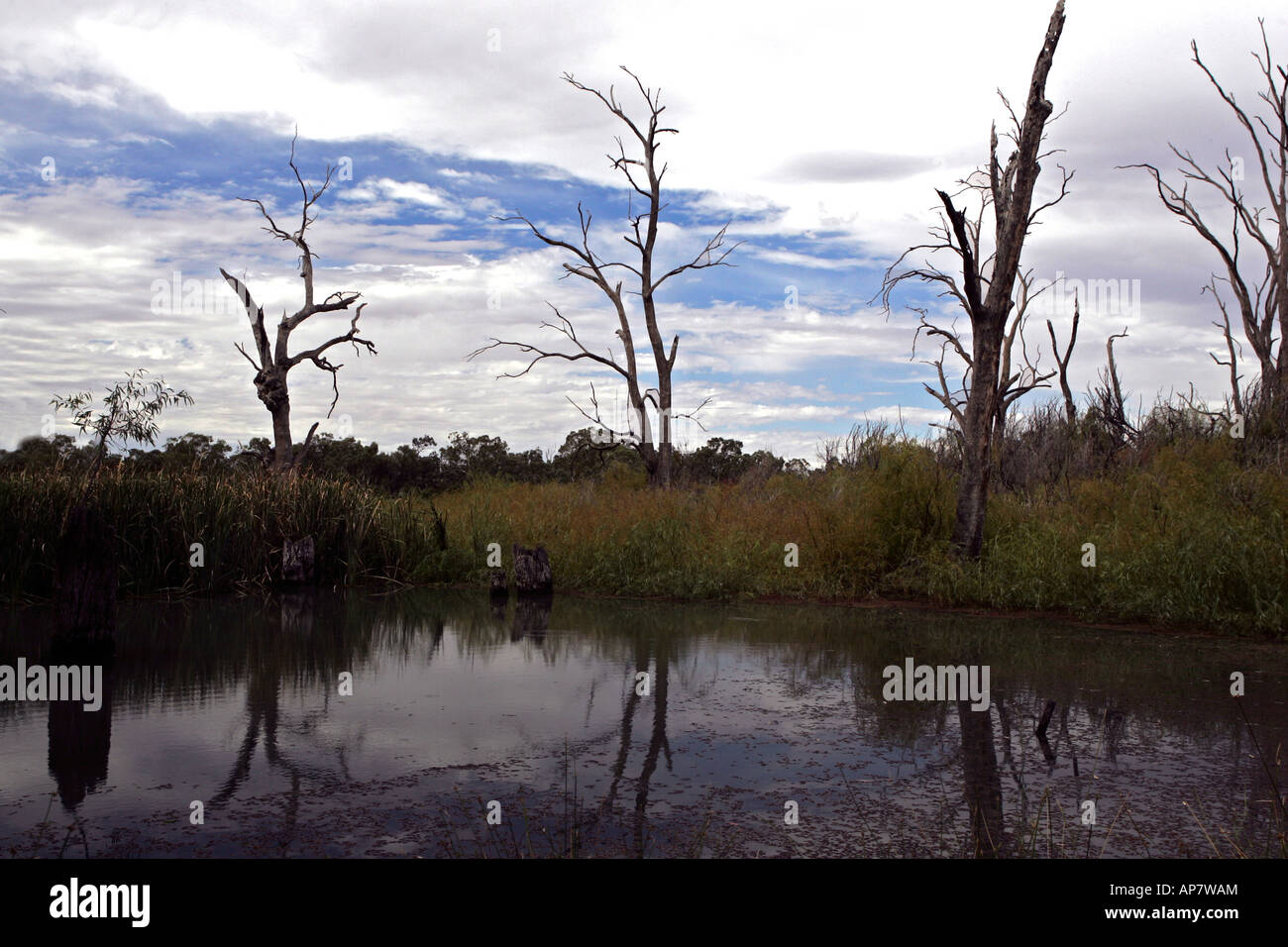 Prospect south australia hi-res stock photography and images - Alamy
