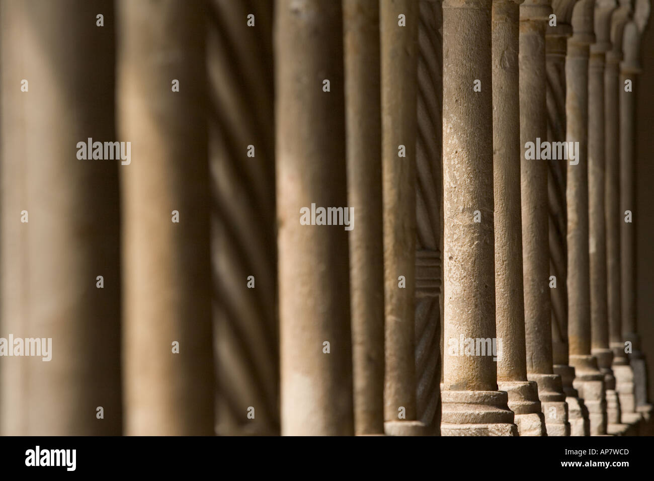 Columns surrounding the inner courtyard of the monastery Santa Maria di ...