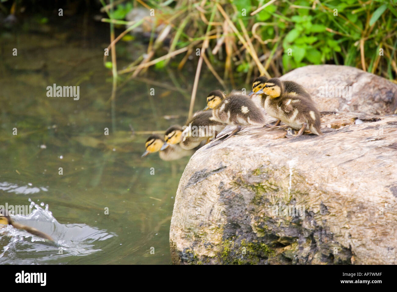 Worsbrough High Resolution Stock Photography and Images - Alamy