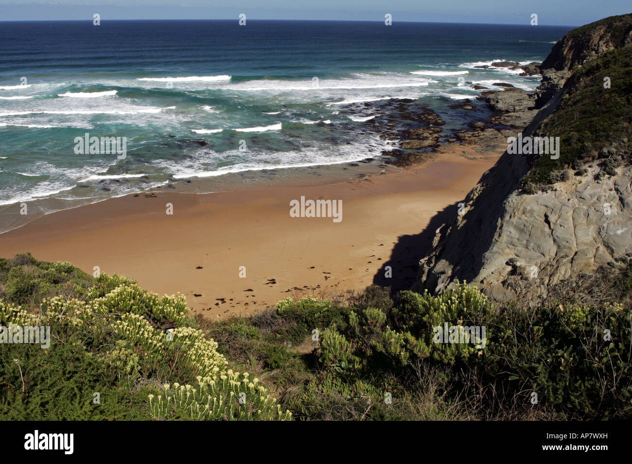 Castle Cove, Great Ocean Road, Great Otway National Park, Victoria ...