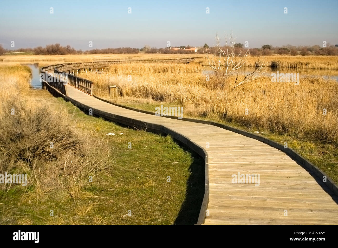 A lonely path Stock Photo - Alamy