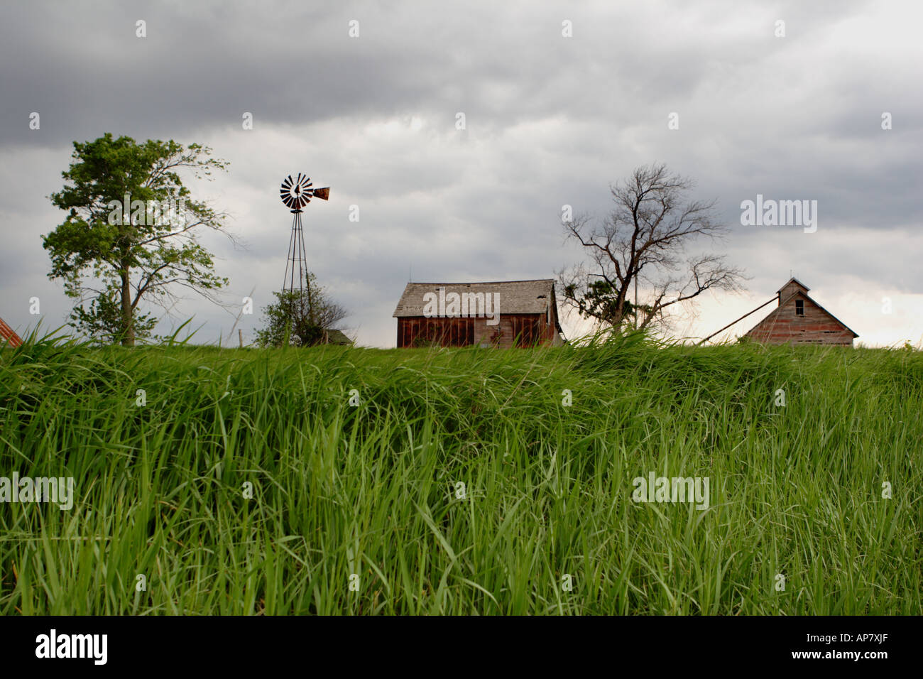 tallgrass prairie and abandoned farm structures central illinois stock ...