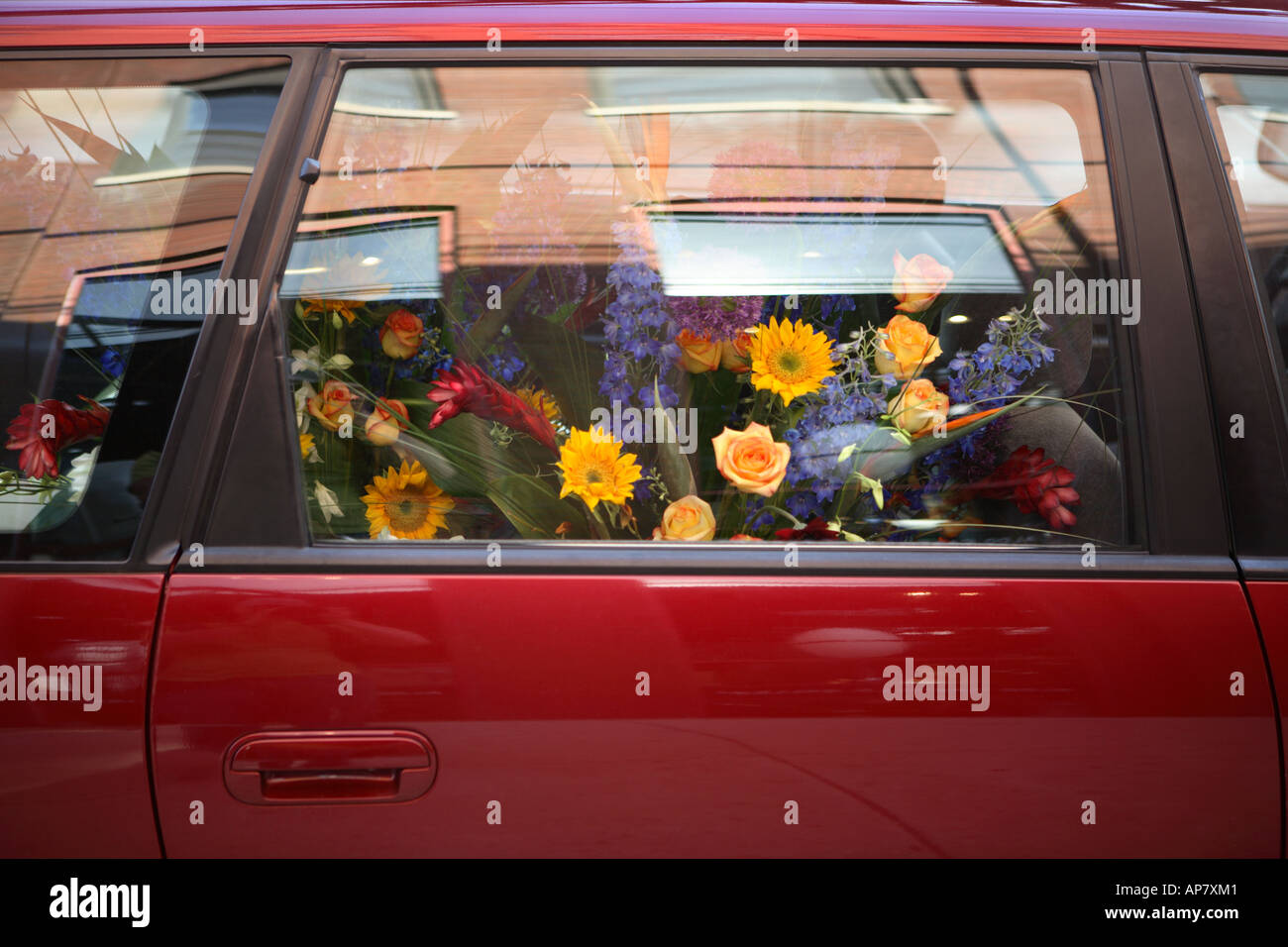 flower bouquet inside a moving car chicago illinois stock photo 163 ...